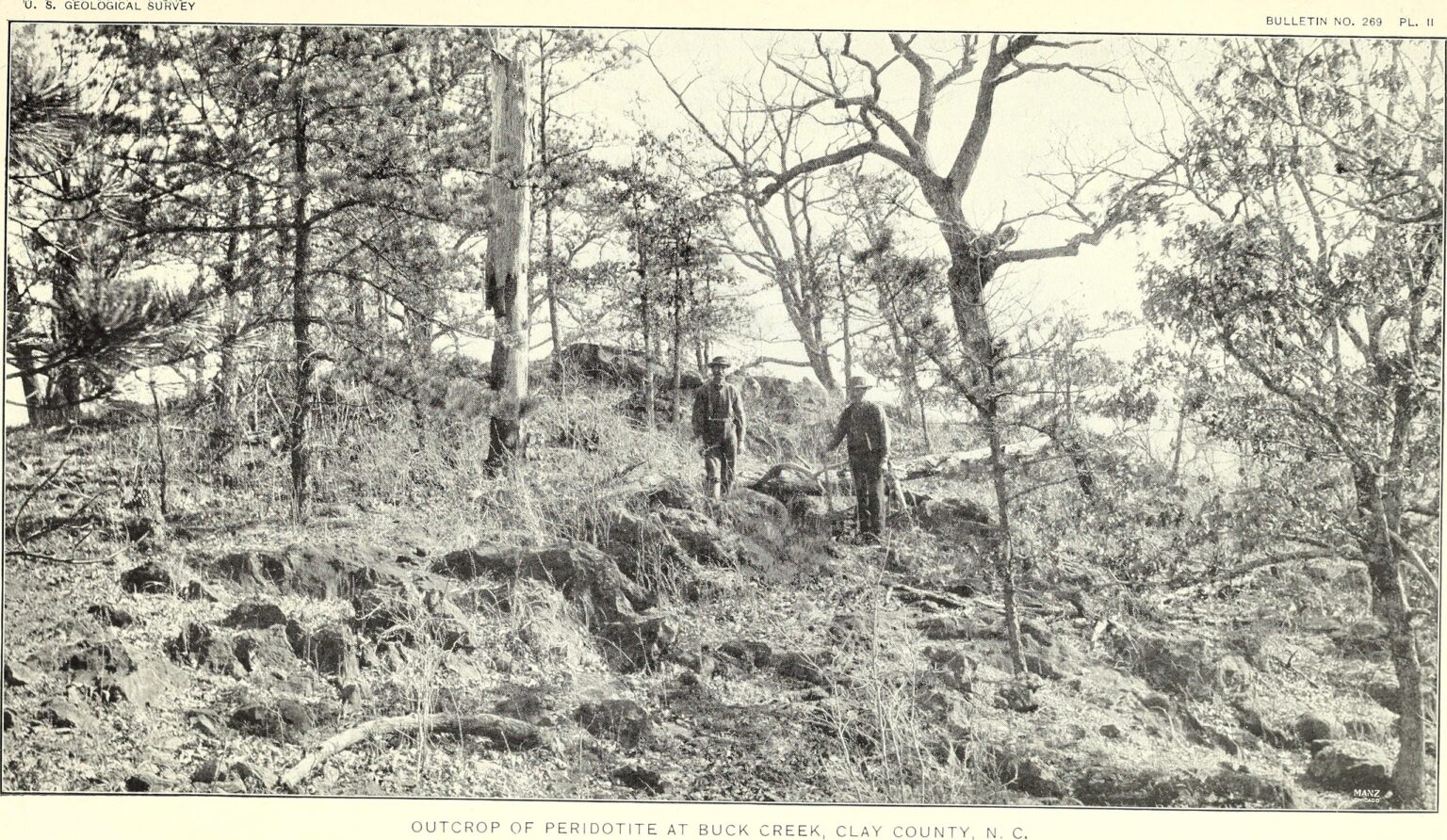 Como visualizar e entender o frente e verso da CNH