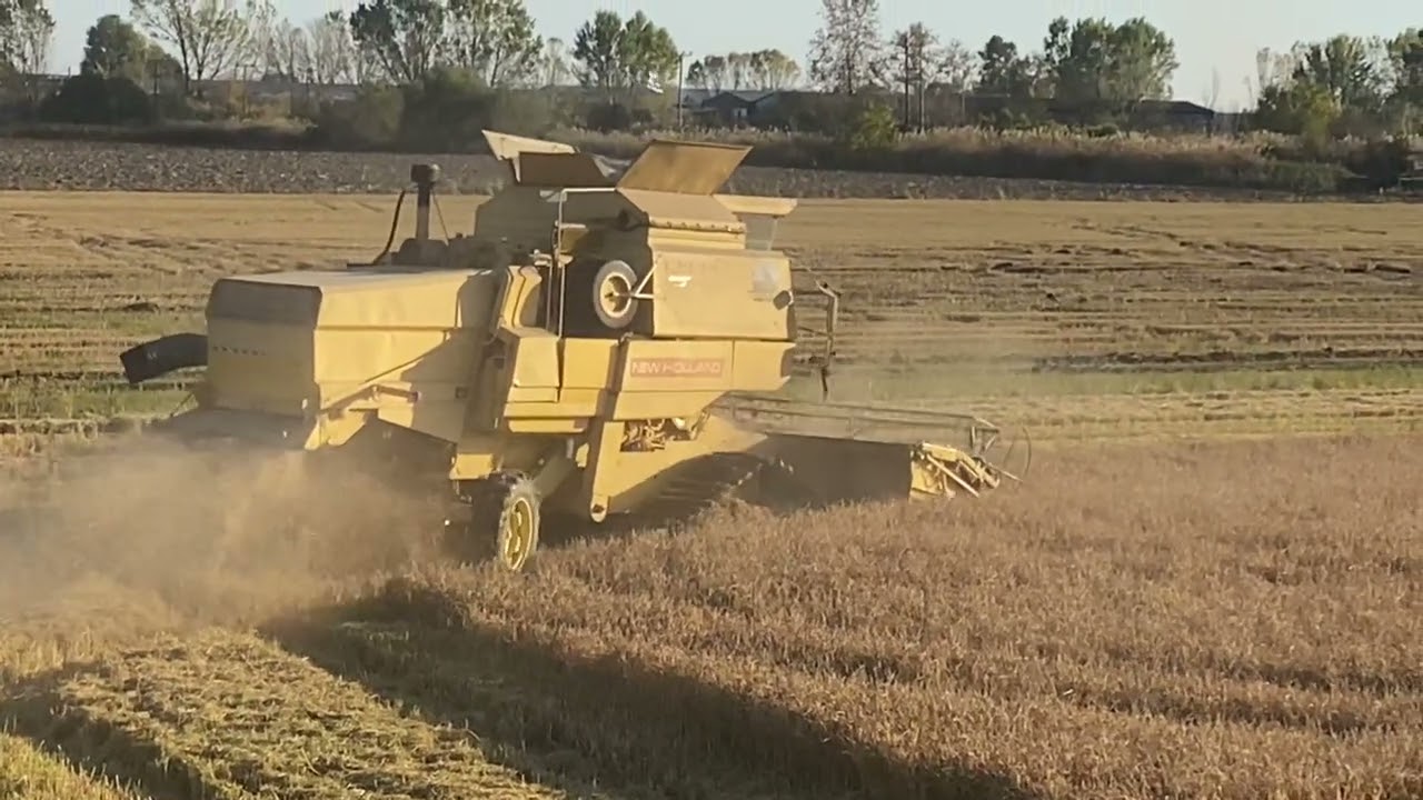 Como visualizar e entender o frente e verso da CNH